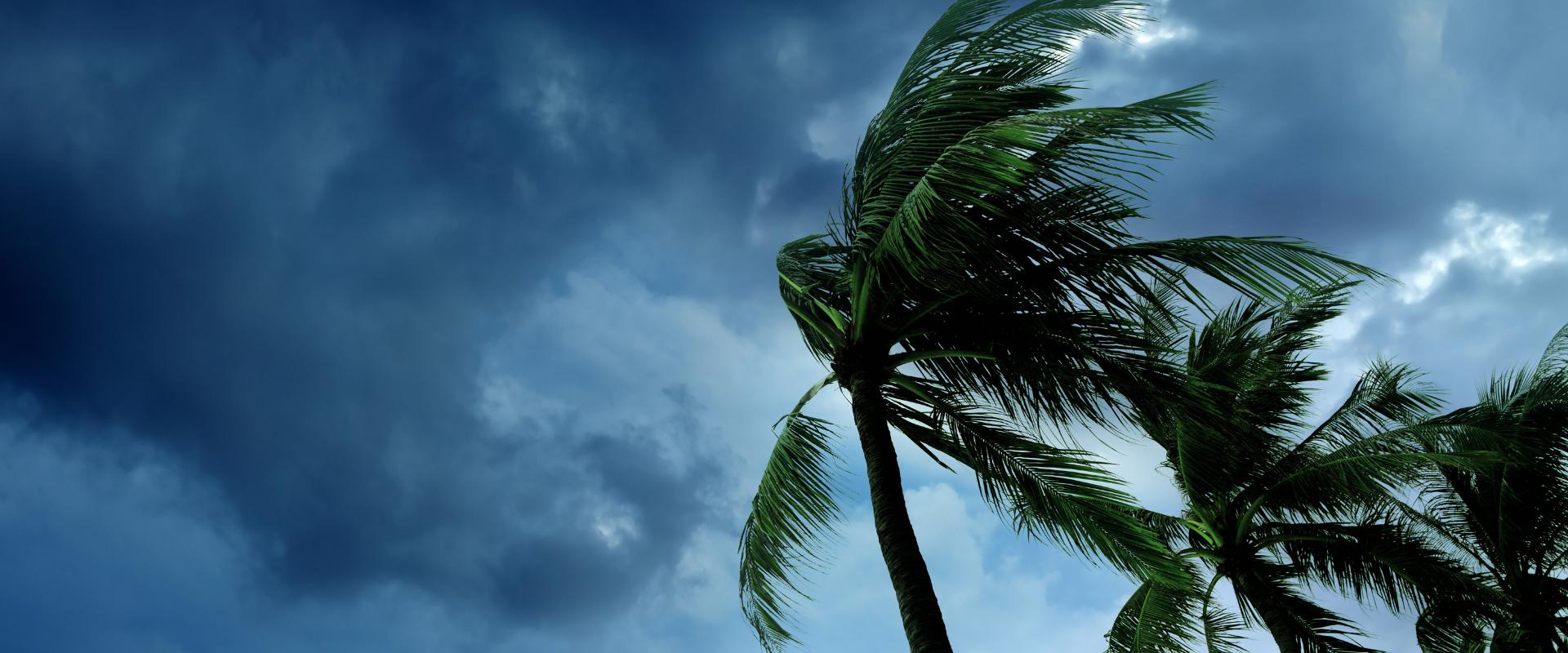 Travel Insurance Guide